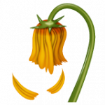 Arti Emoji 🥀 Bunga Layu - Emojipedia Indonesia