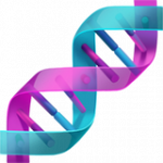 √ Arti Emoji 🧬 DNA (DNA)- Emojipedia Indonesia