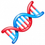 √ Arti Emoji 🧬 DNA (DNA)- Emojipedia