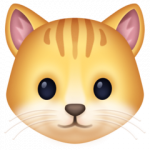 Arti Emoji 🐱 Wajah Kucing - Emojipedia Indonesia
