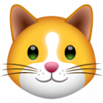 Arti Emoji 🐱 Wajah Kucing - Emojipedia Indonesia