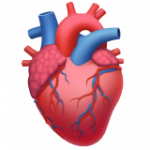 Arti Emoji 🫀 Anatomi Jantung - Emojipedia Indonesia