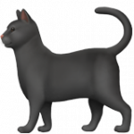 Arti Emoji 🐈‍⬛ Kucing Hitam - Emojipedia Indonesia